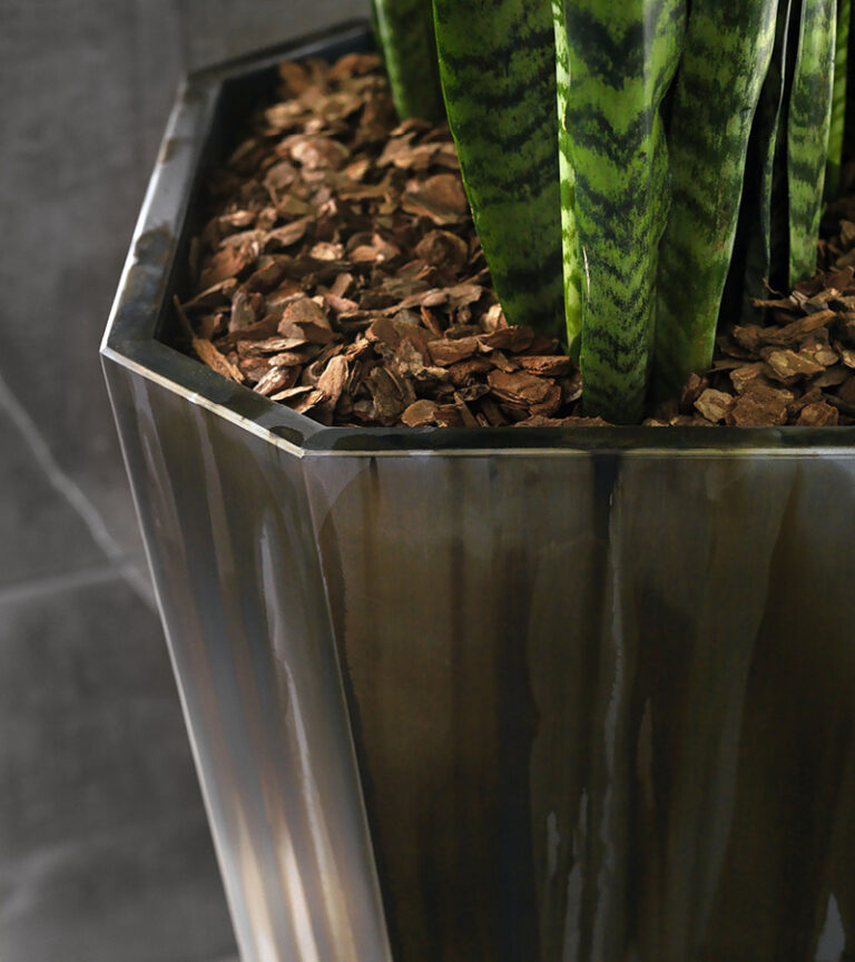 Adonis flower vase - giorgio collection
