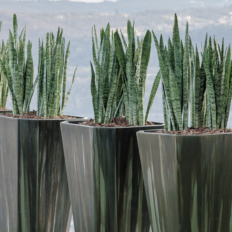 Adonis flower vase - giorgio collection